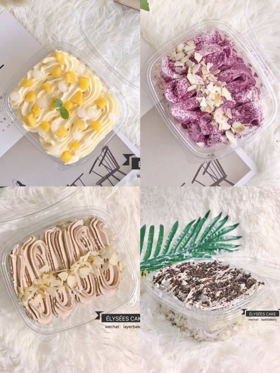 Daily Dessert – Page 3 – Elysees Cake