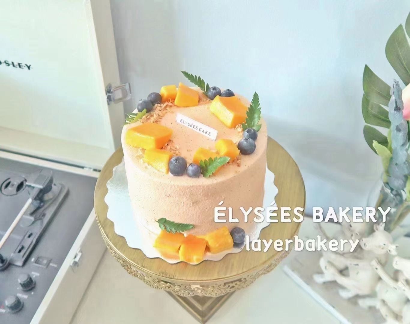 Thai Milk Tea & Mango 泰式奶茶芒果 – Elysees Cake